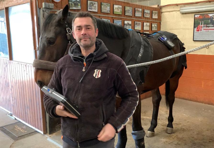 Equery | Développement & stimulation musculaire pour chevaux