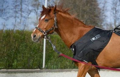 Equery | Neuromuscular stimulation technology